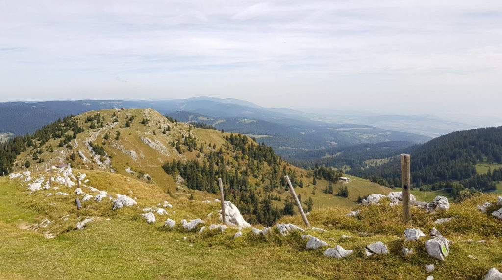 Panorama à couper le souffle depuis le sommet de La Dôle | Inspiration ...