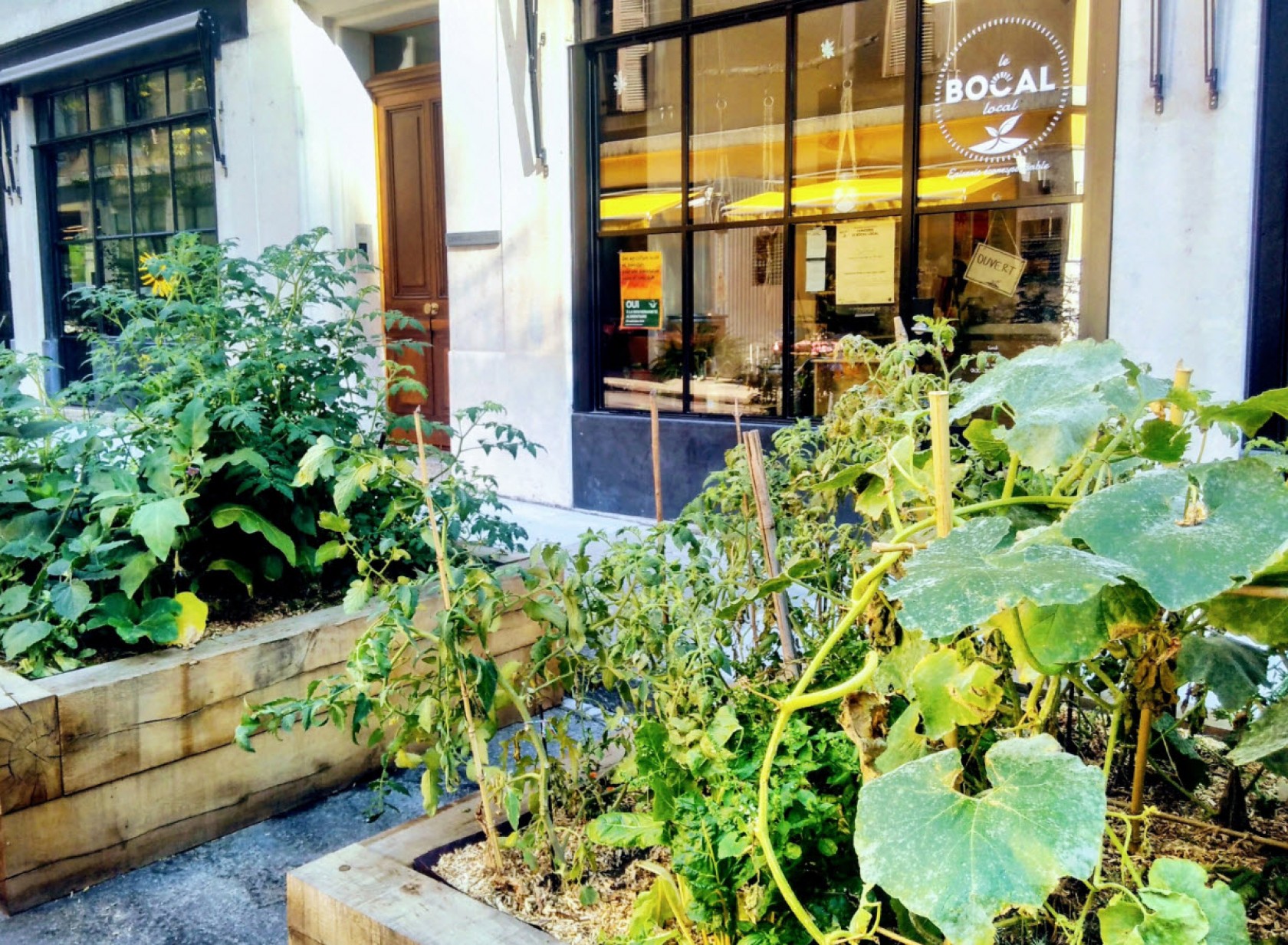 Le Bocal Local | Destination | Inspiration for Travellers