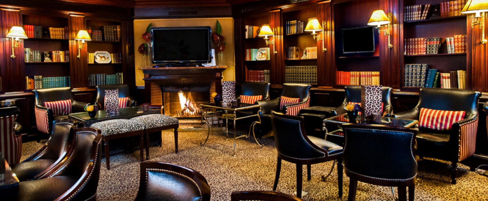 Leopard Bar | Destination | Inspiration for Travellers